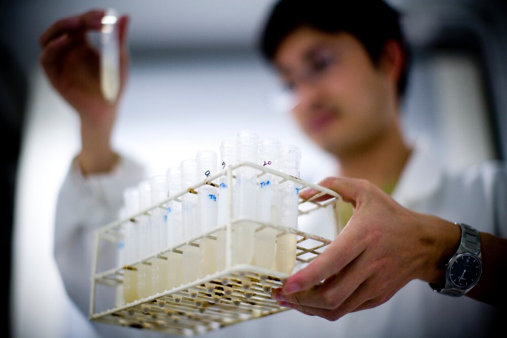 Our work in science | British Council